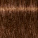 Schwarzkopf Professional Igora Zero AMM 5-67 Light Brown Chocolate ...